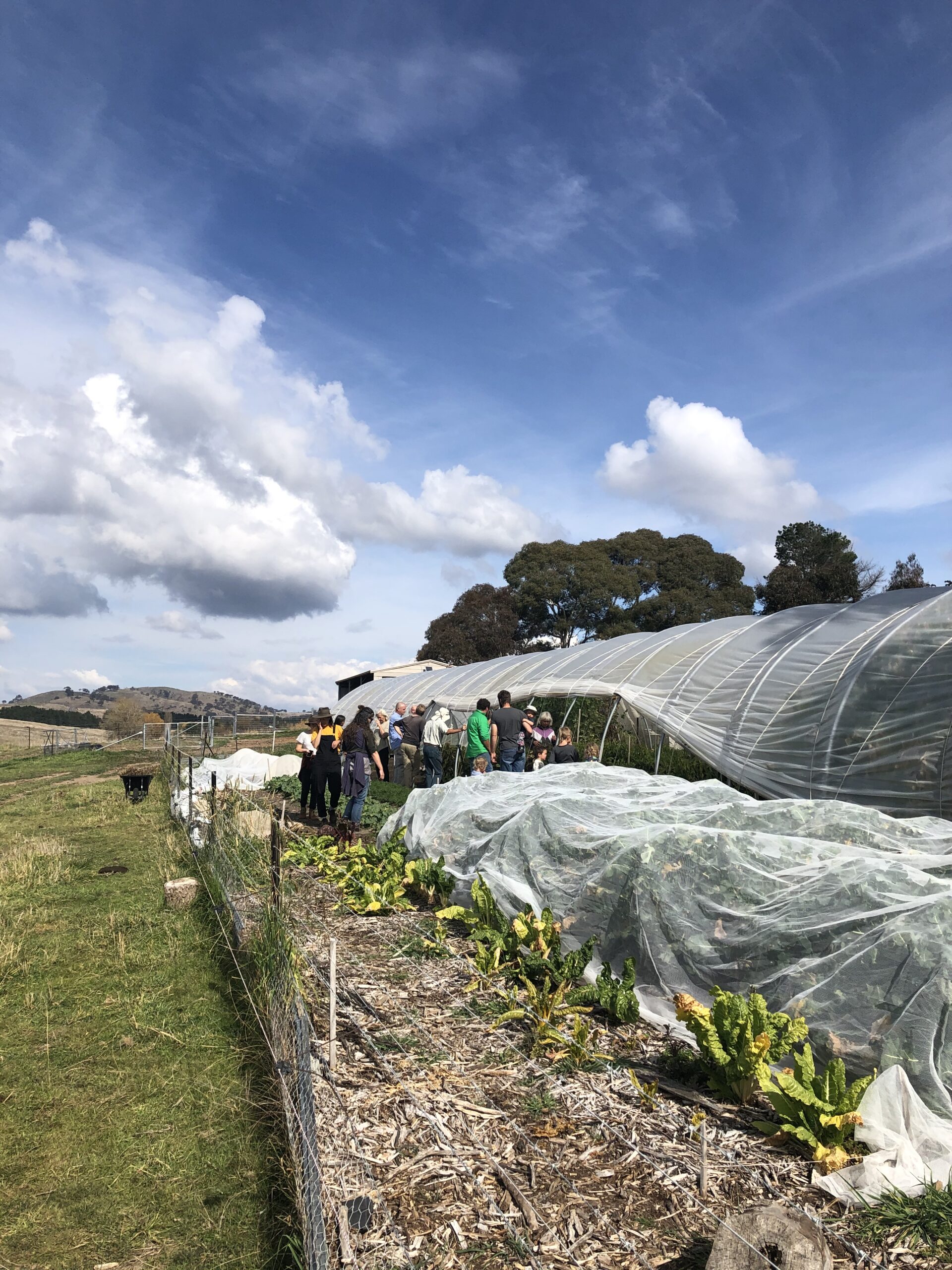 Southern Harvest Producer Collaboration Day – May 2021 – Southern Harvest
